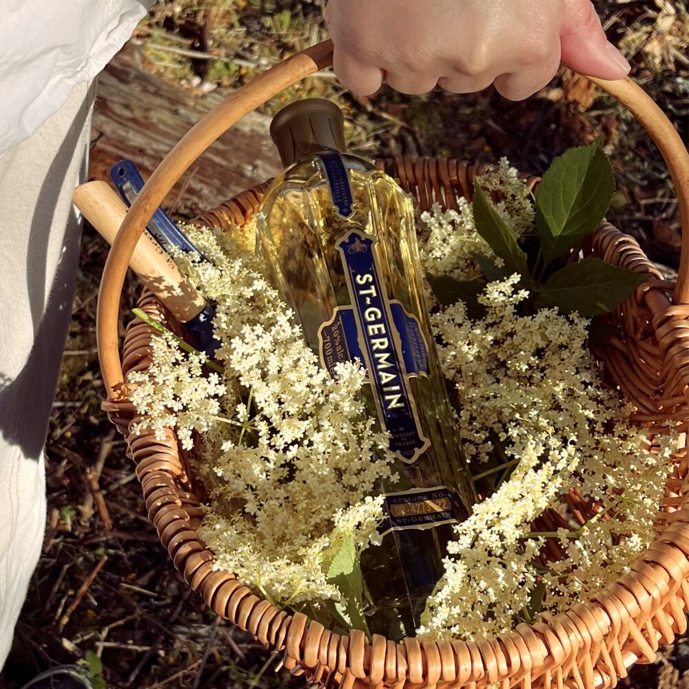 St-Germain Elderflower Liqueur | St-Germain Boutique – St-Germain ...
